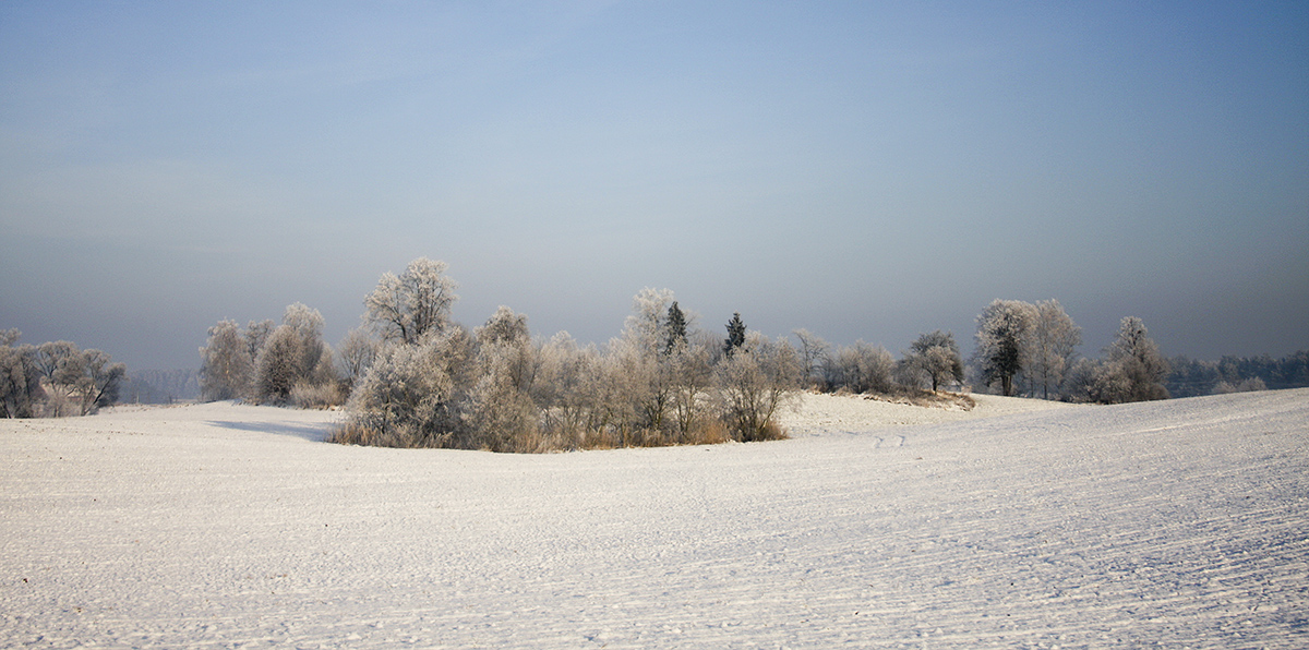 zima - narty biegowe - Pensjonat Mazury Dziwiszewo
